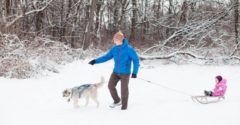 Activities Every Kitchener-Waterloo Family Needs To Try – Cindy Cody